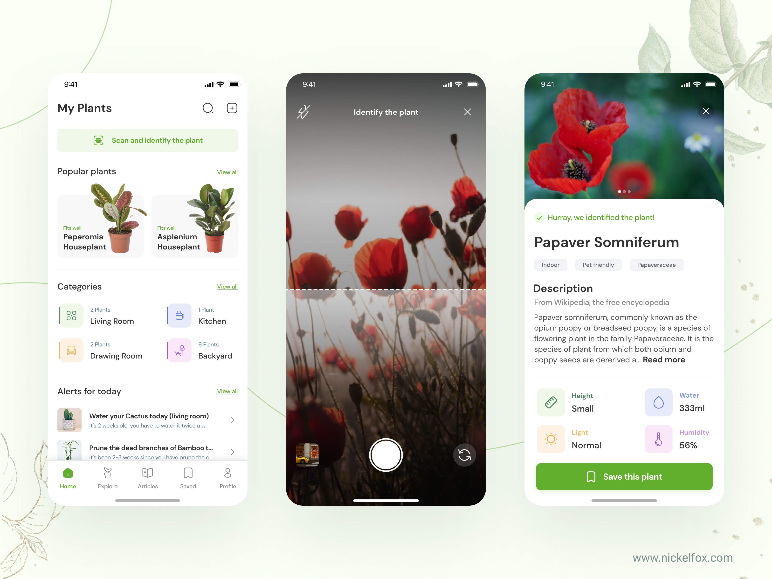 Bloom Media